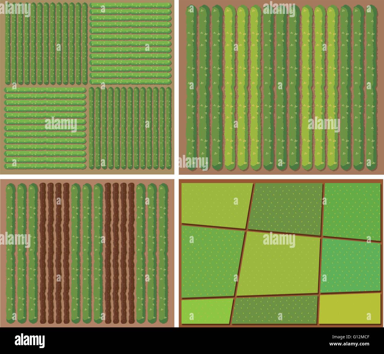 Pattern of crops from top view illustration Stock Vector Image & Art ...