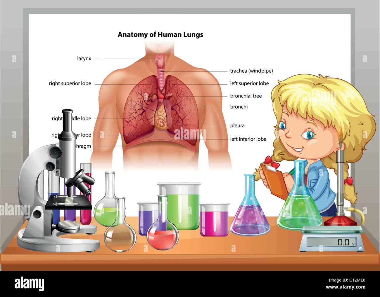 Girl learning in science class illustration Stock Vector Image & Art ...