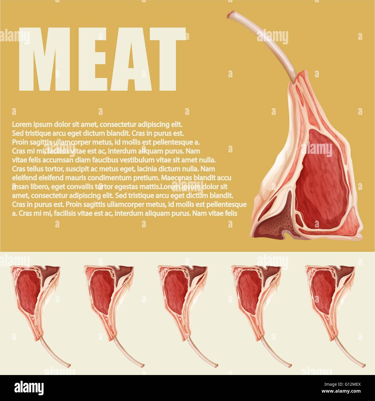 Meat theme with lamb chop and text illustration Stock Vector Image ...