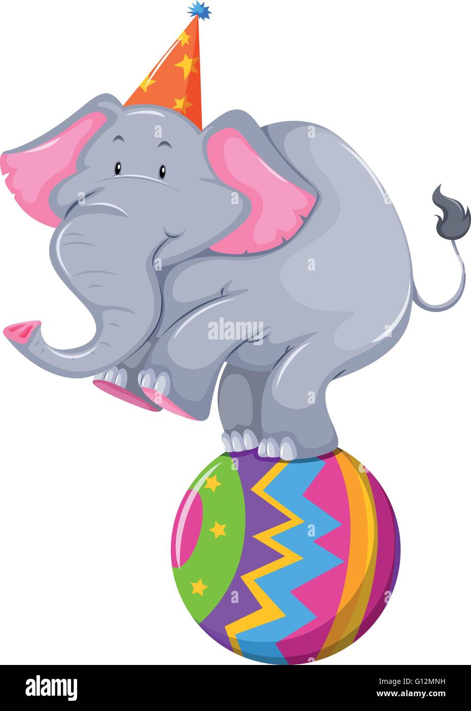 Elephant balancing hi-res stock photography and images - Alamy