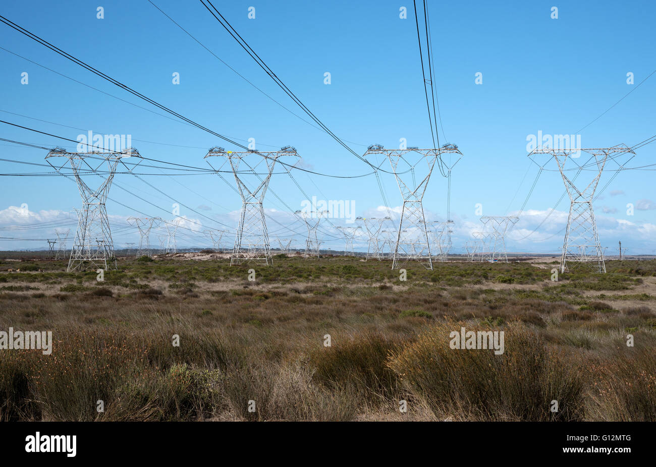 South africa power lines hi-res stock photography and images - Alamy