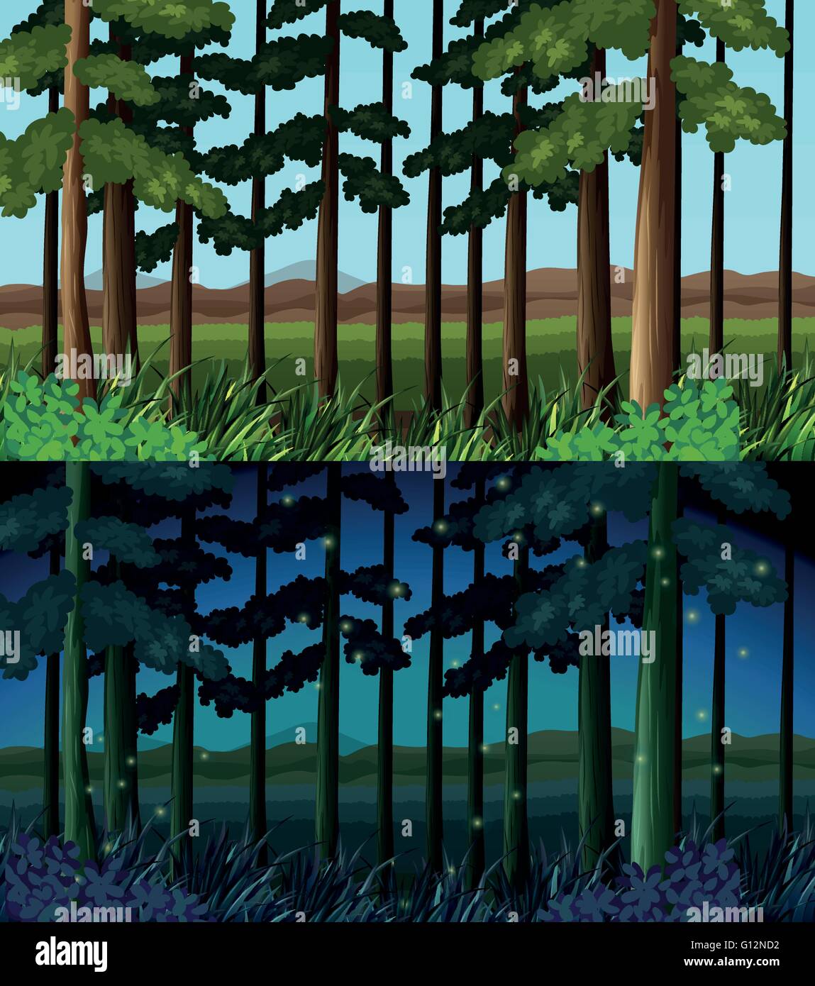 Forest scene at day time and night time illustration Stock Vector Image ...