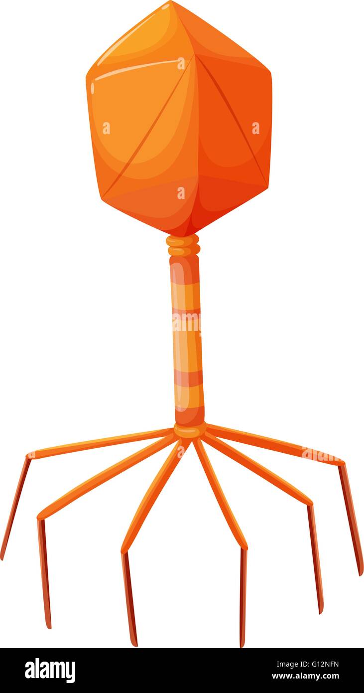 Virus cell in orange color illustration Stock Vector Image & Art - Alamy