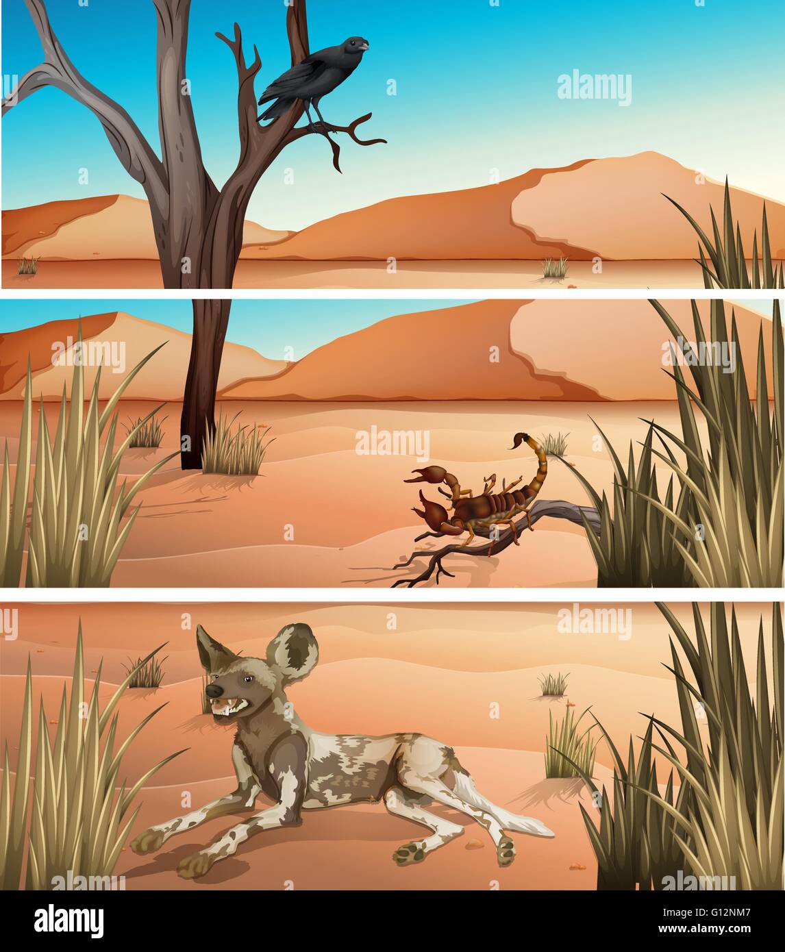 Wild animals living in dessert illustration Stock Vector Image & Art ...