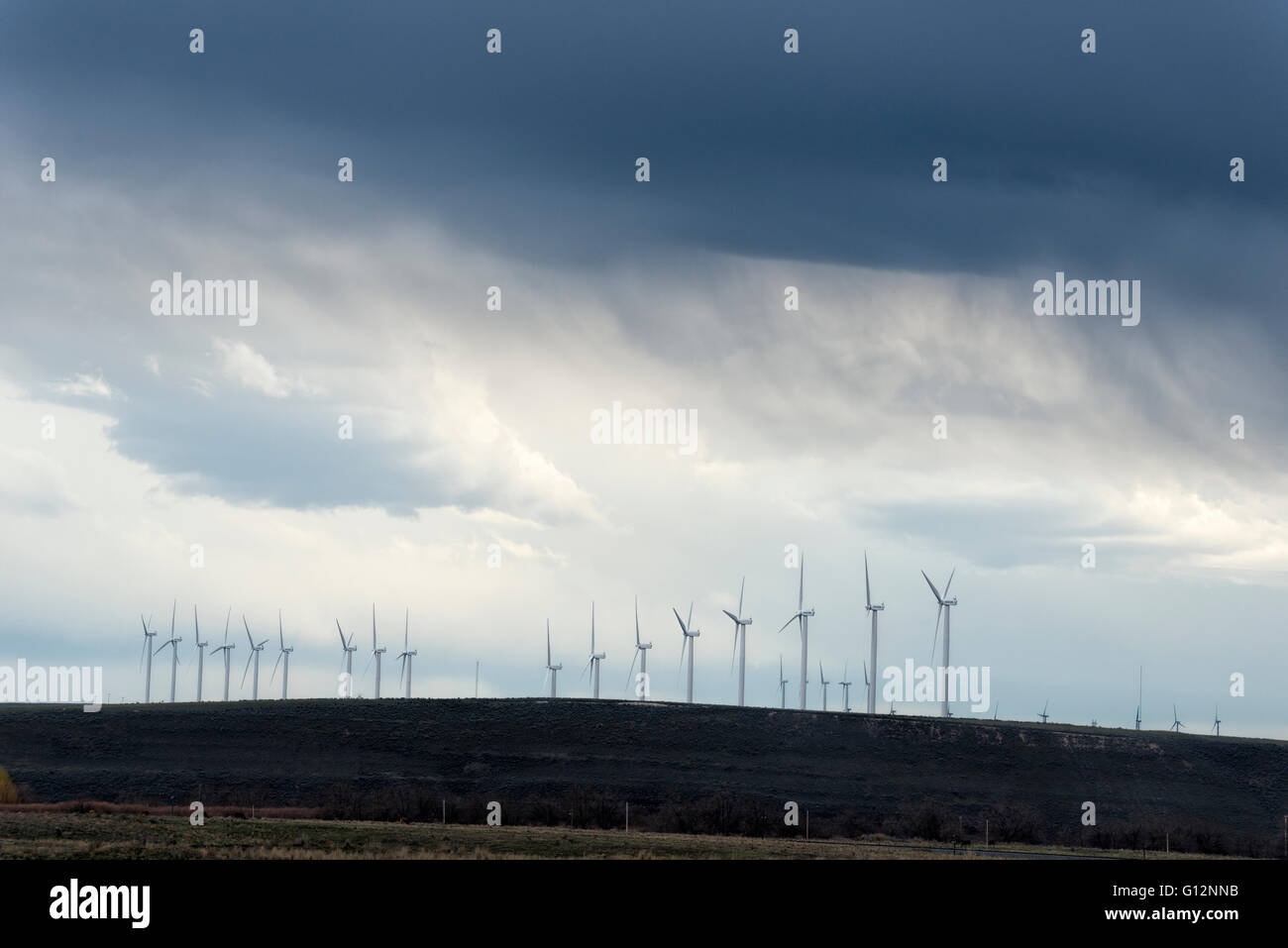 Bliss farm hi-res stock photography and images - Alamy