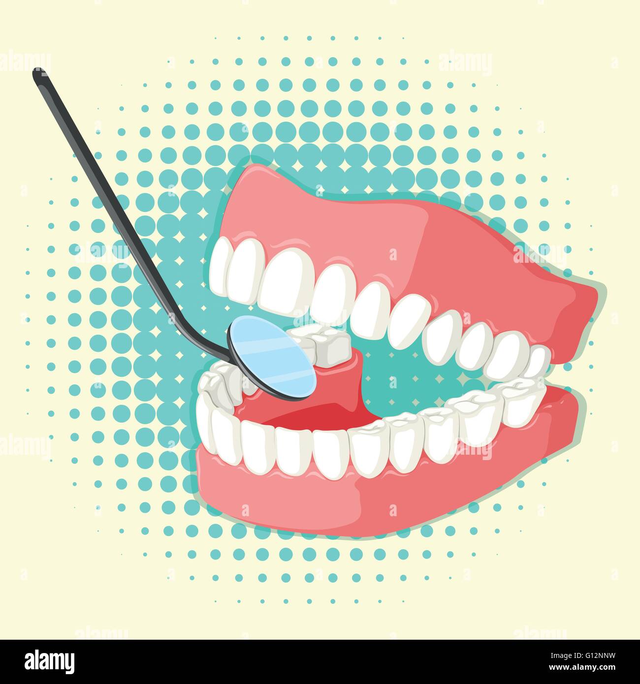 Teeth model and mirror illustration Stock Vector Image & Art - Alamy