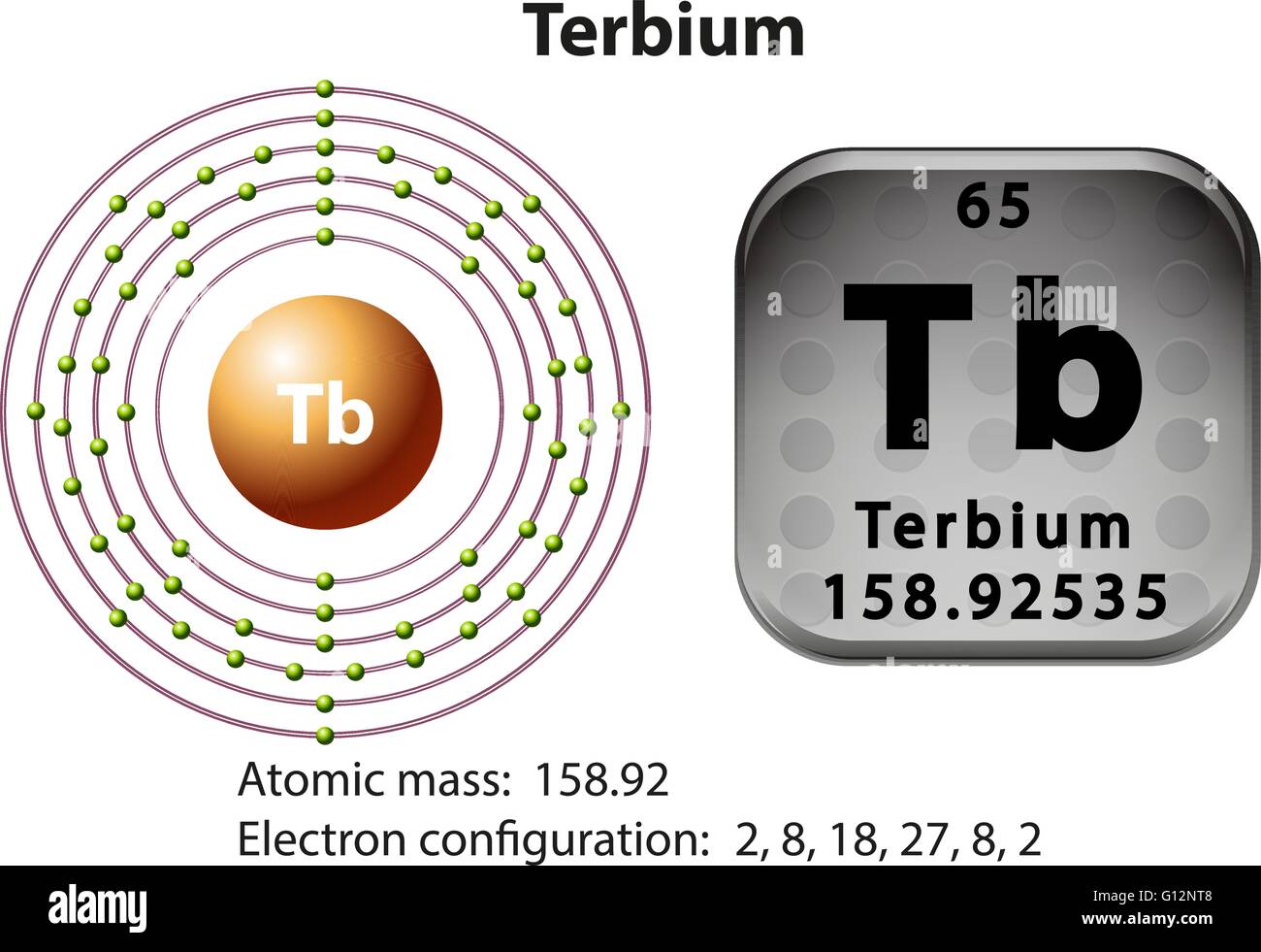 Symbol and electron diagram for Terbium illustration Stock Vector Image ...