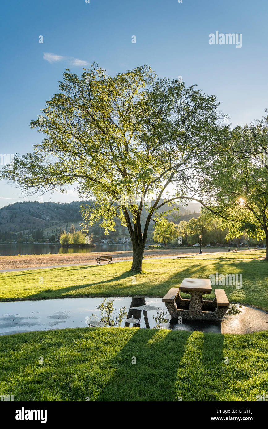 Morning, Christie Memorial Provincial Park, Skaha Lake, Okanagan Falls ...