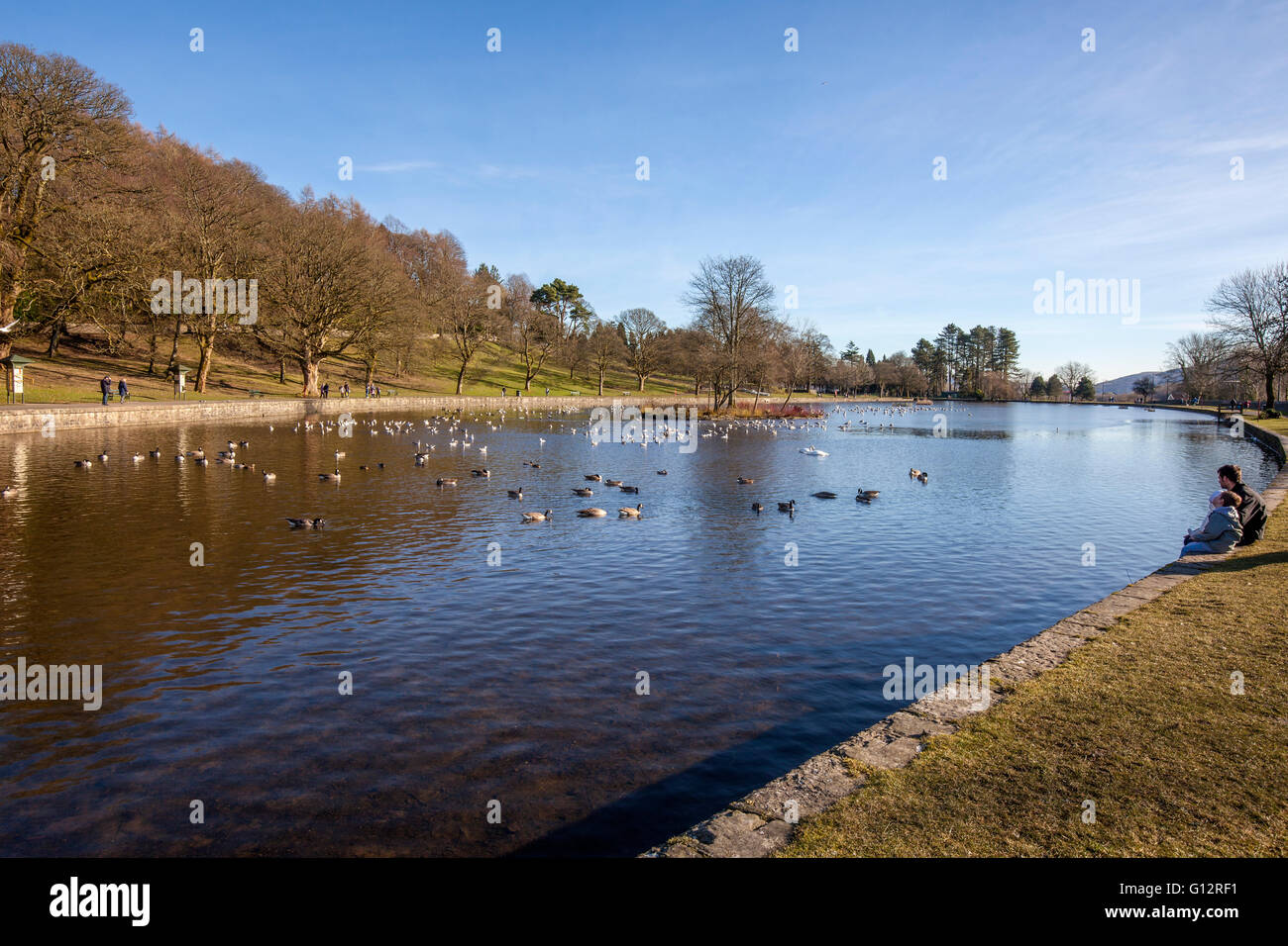 Cyfarthfa Park lake on a sunny day Stock Photo - Alamy