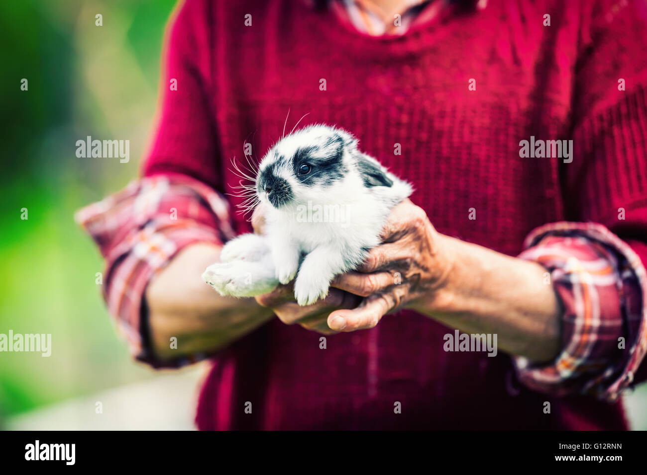 Old man hand holding young hi-res stock photography and images - Alamy