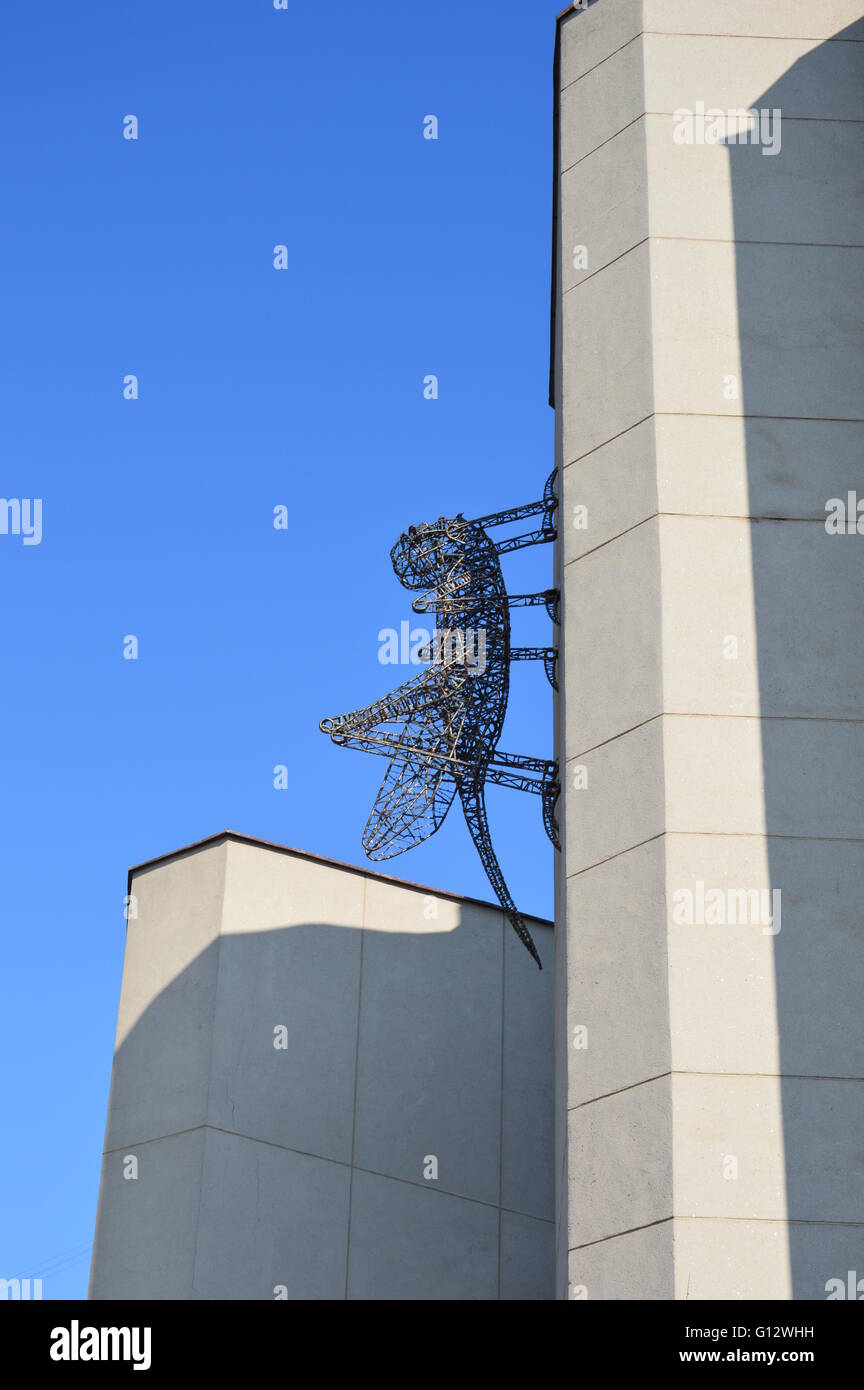 Grasshopper decoration on building Stock Photo - Alamy