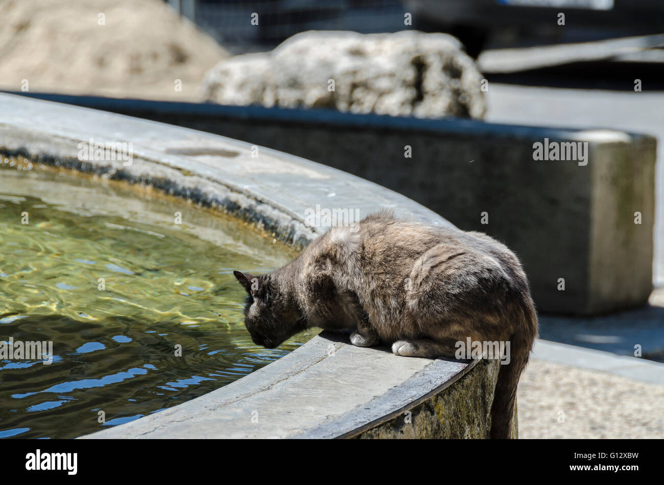 Robe de vergers hi-res stock photography and images - Alamy