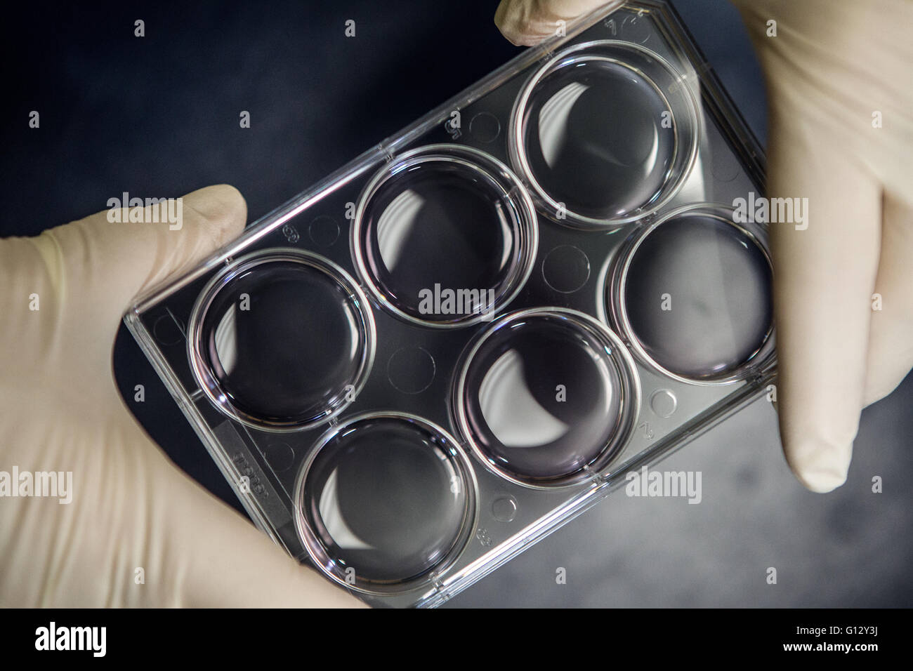 Science Assay tray Stock Photo - Alamy