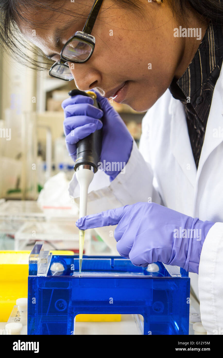 Scientist looking sample in lab hi-res stock photography and images - Alamy