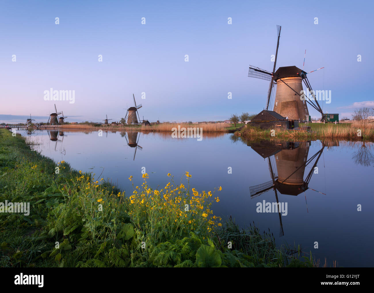 Spring landscape with beautiful traditional dutch windmills near the ...