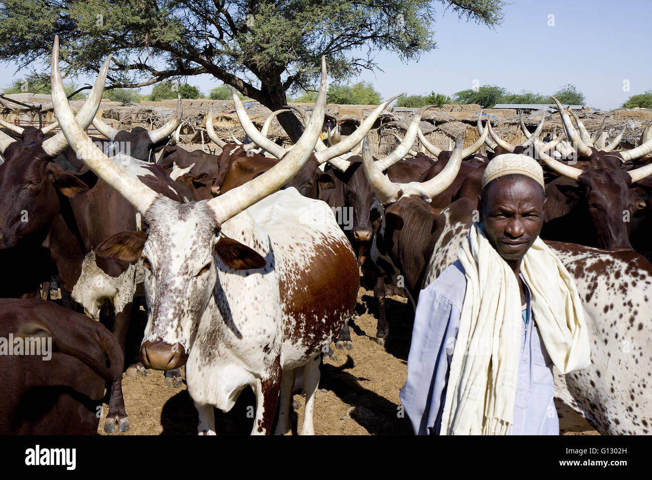 Nigerian shepherd hi-res stock photography and images - Alamy