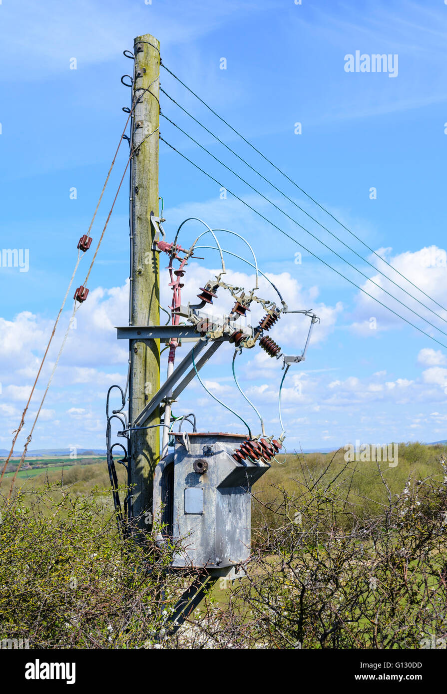 Small electricity distribution point on a wooden post in the British ...