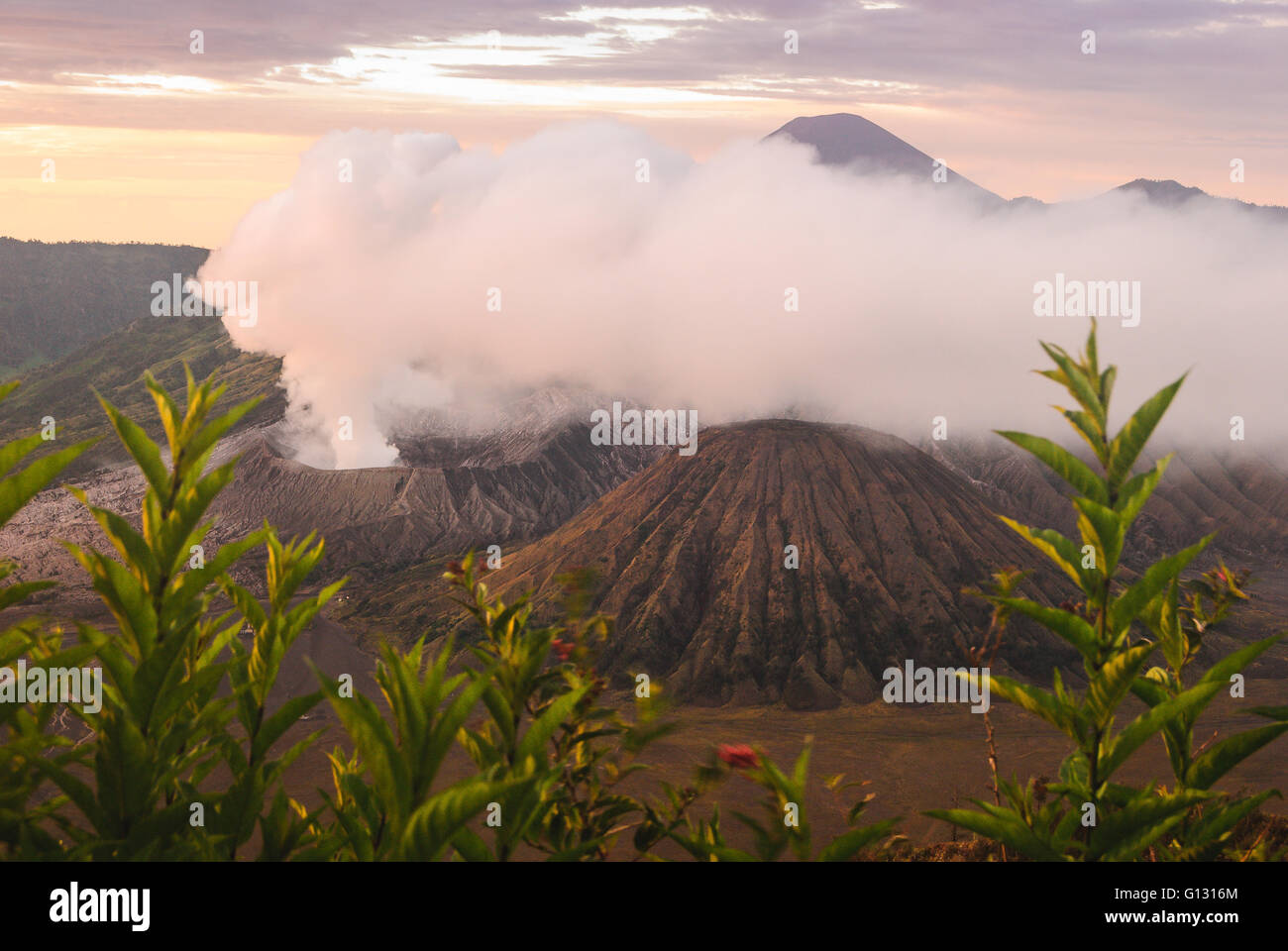 Active volcano of mount bromo hi-res stock photography and images - Alamy