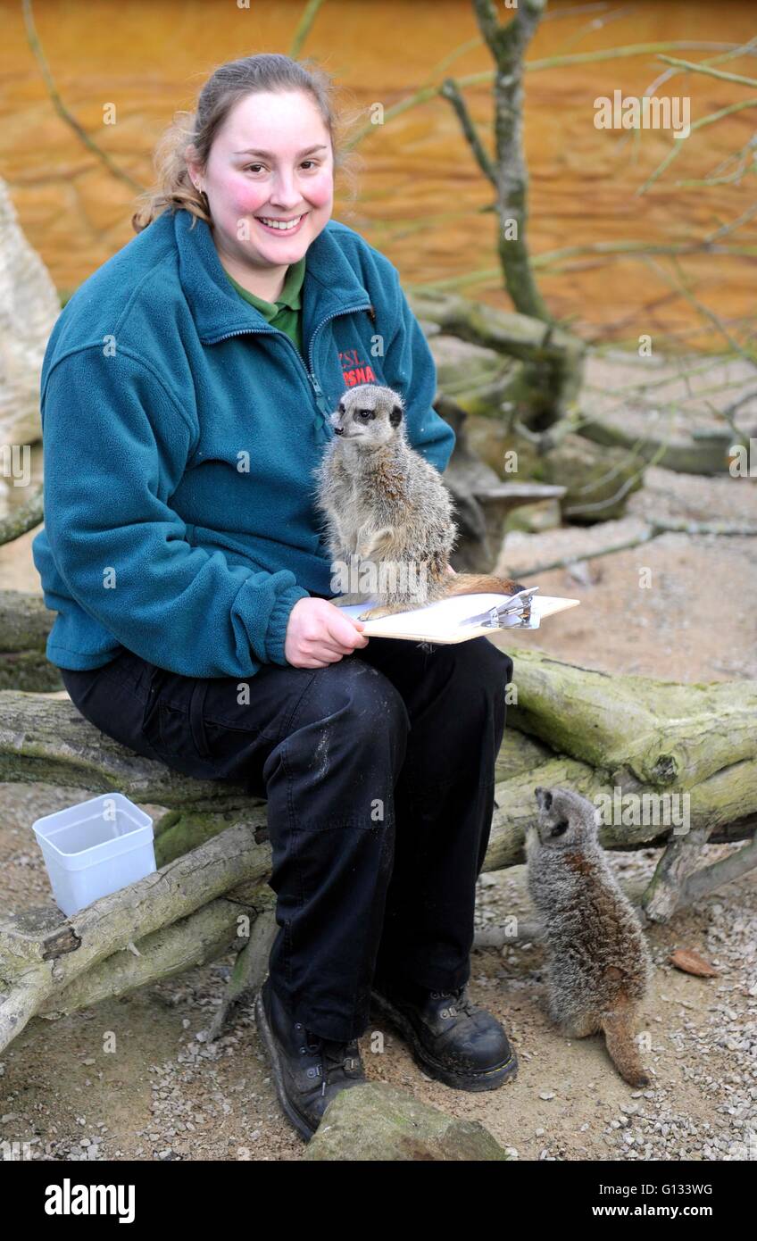 animals at zsl zoos Stock Photo - Alamy