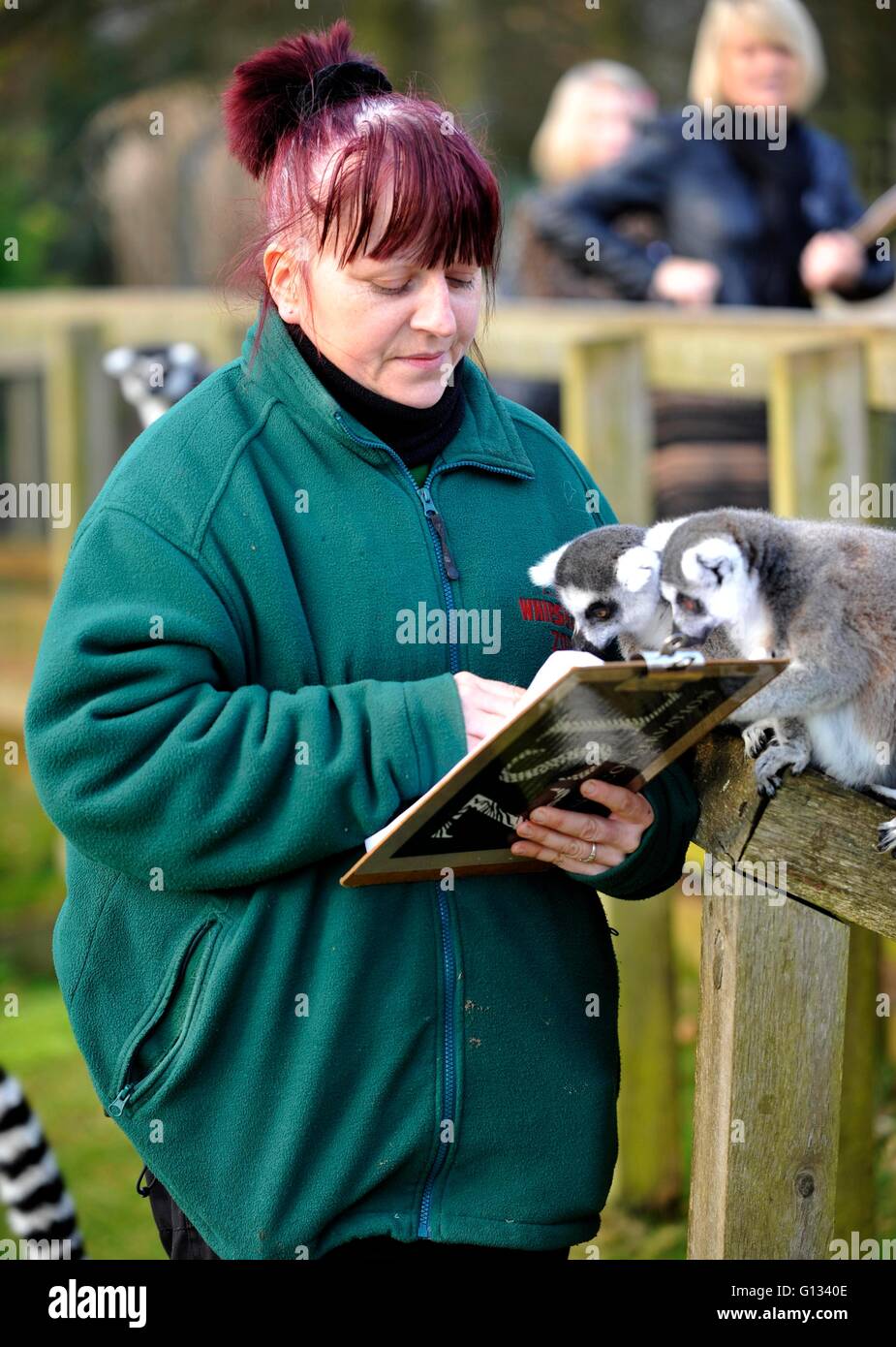 animals at zsl zoos Stock Photo - Alamy