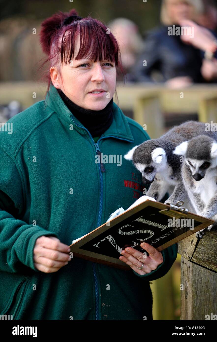 animals at zsl zoos Stock Photo - Alamy