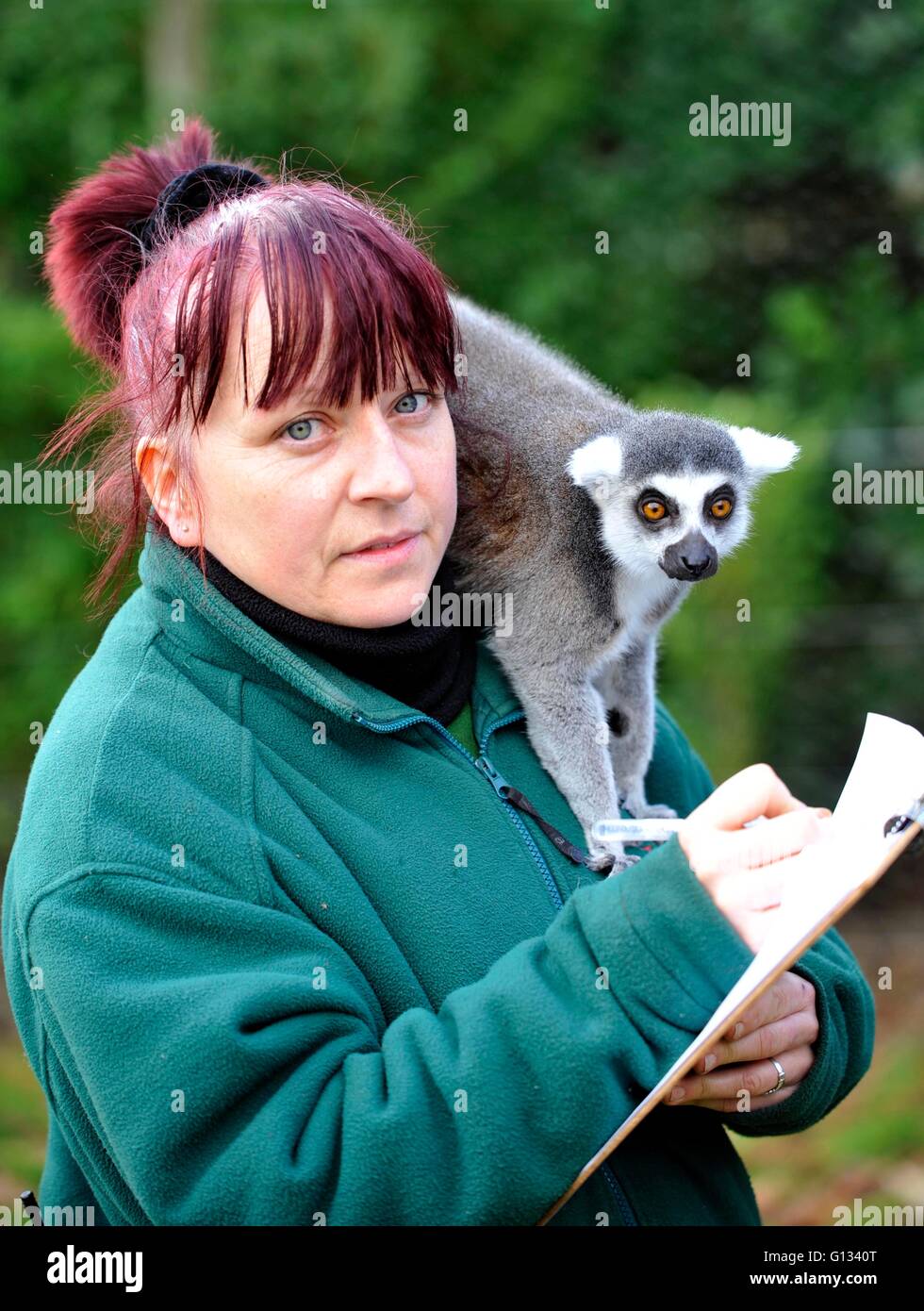animals at zsl zoos Stock Photo - Alamy