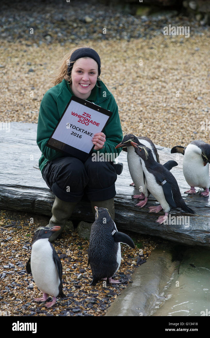 animals at zsl zoos Stock Photo - Alamy