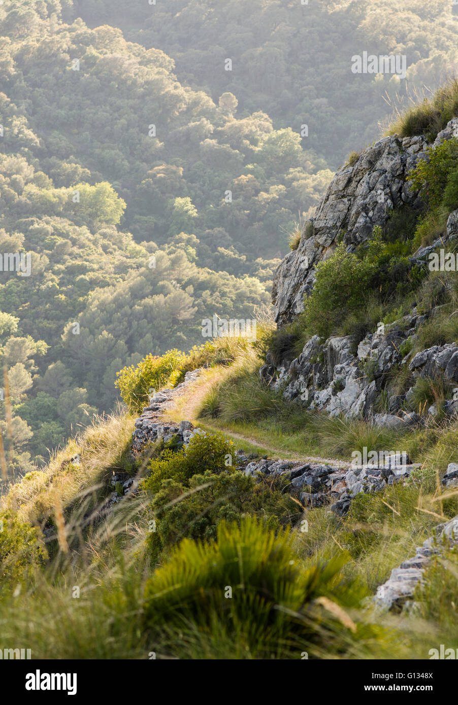 Hiking Path, trail in andalusian mountains, Andalusia, Spain Stock ...