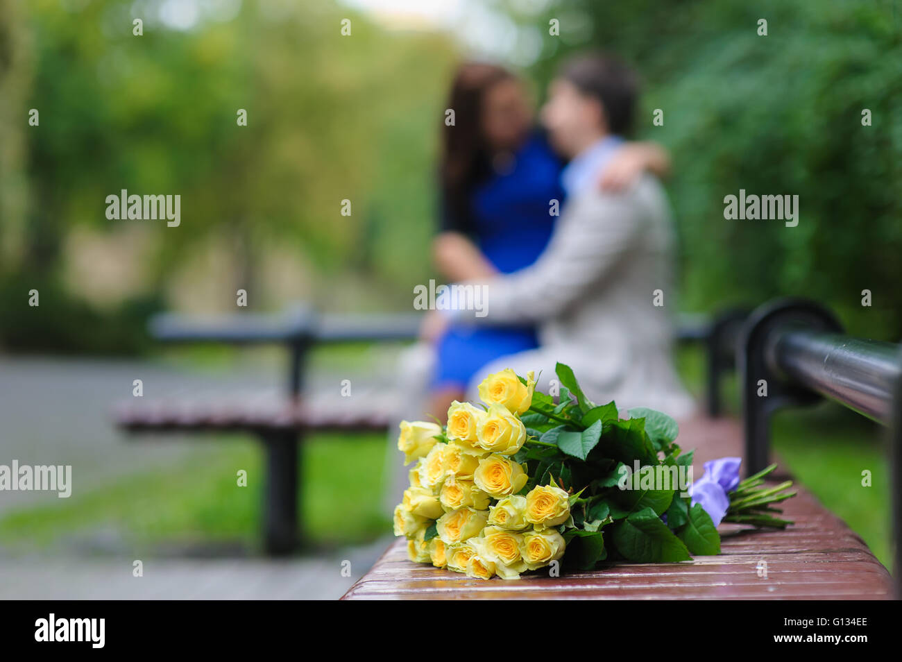 Roses and a bench hi-res stock photography and images - Alamy