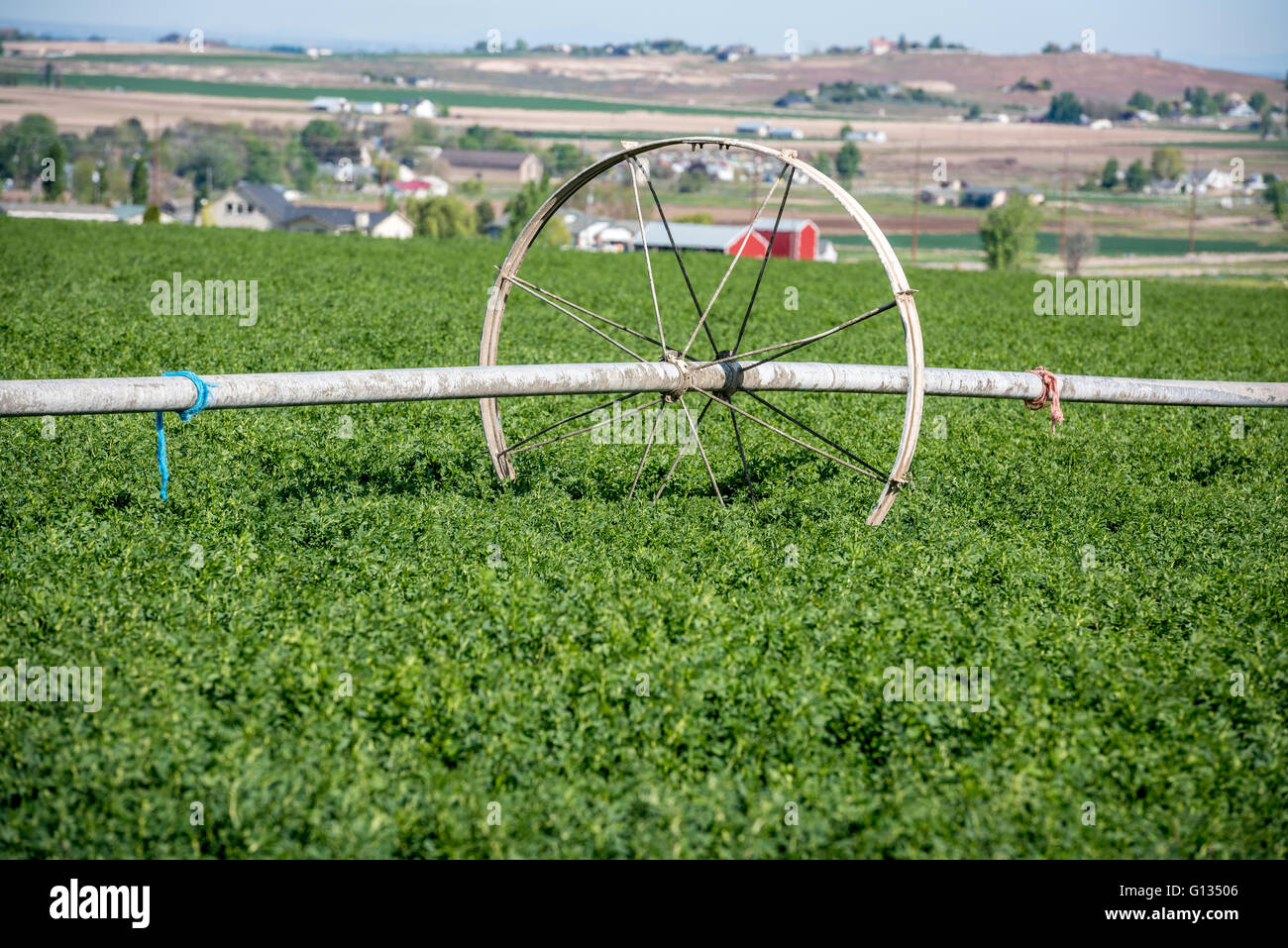 Wheel of an irrigation sprinkler and farm field Stock Photo - Alamy