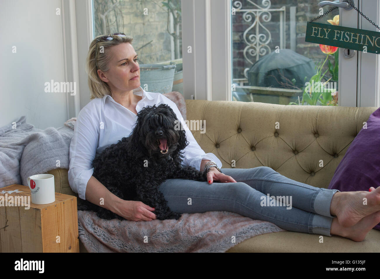 An attractive middle aged woman with her black cockapoo dog Stock Photo ...