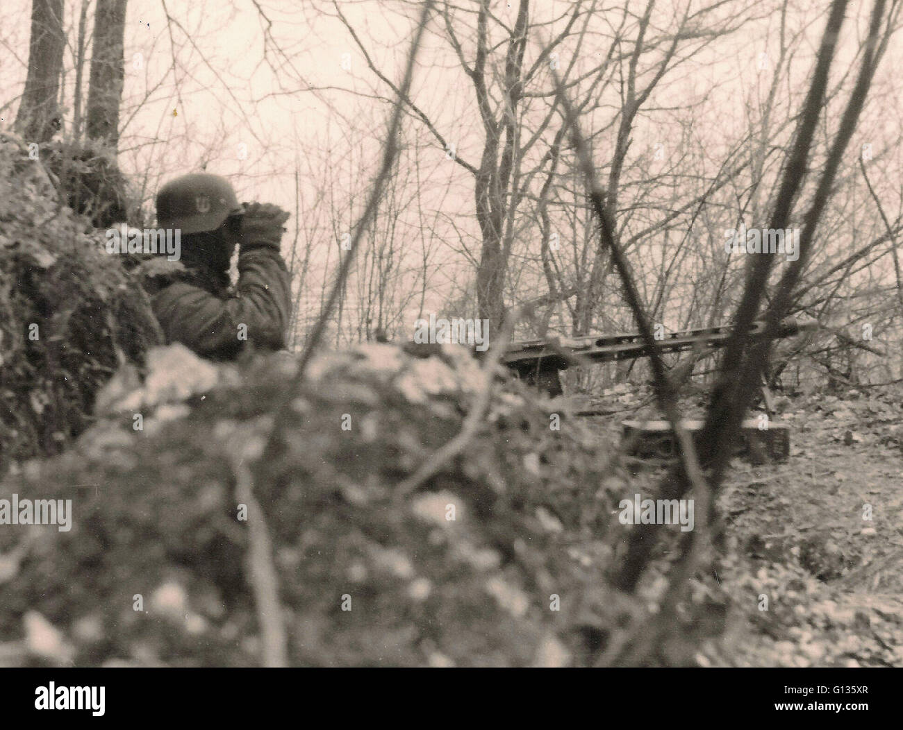 Waffen Ss On The Russian Front High Resolution Stock Photography and ...