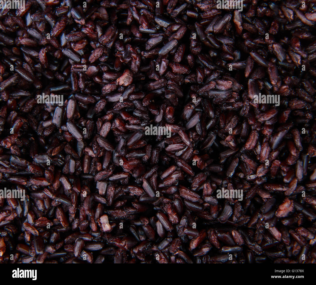 Rice pest hi-res stock photography and images - Alamy