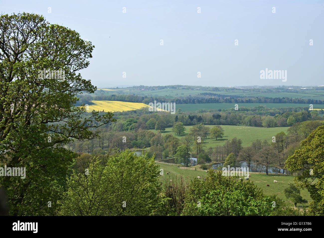 English summer countryside hi-res stock photography and images - Alamy