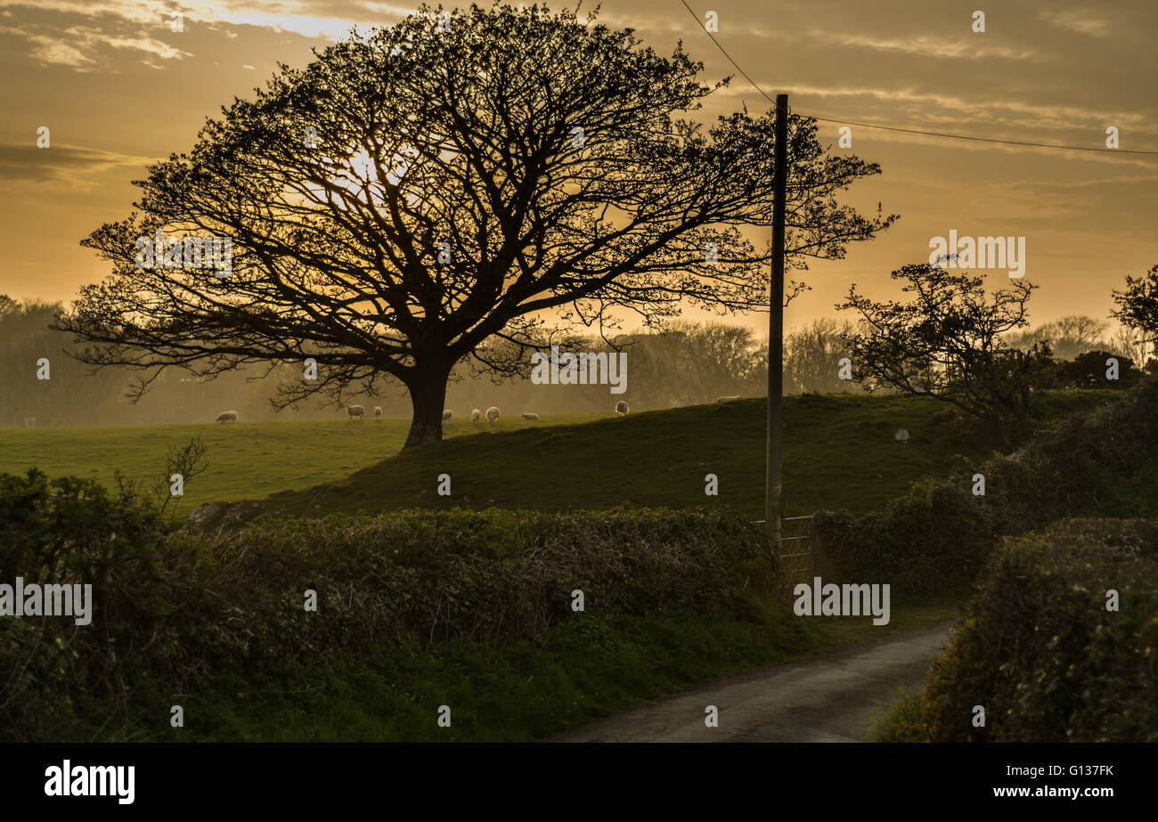 The sun is setting at Marianglas on Anglesey after a warm spring day ...