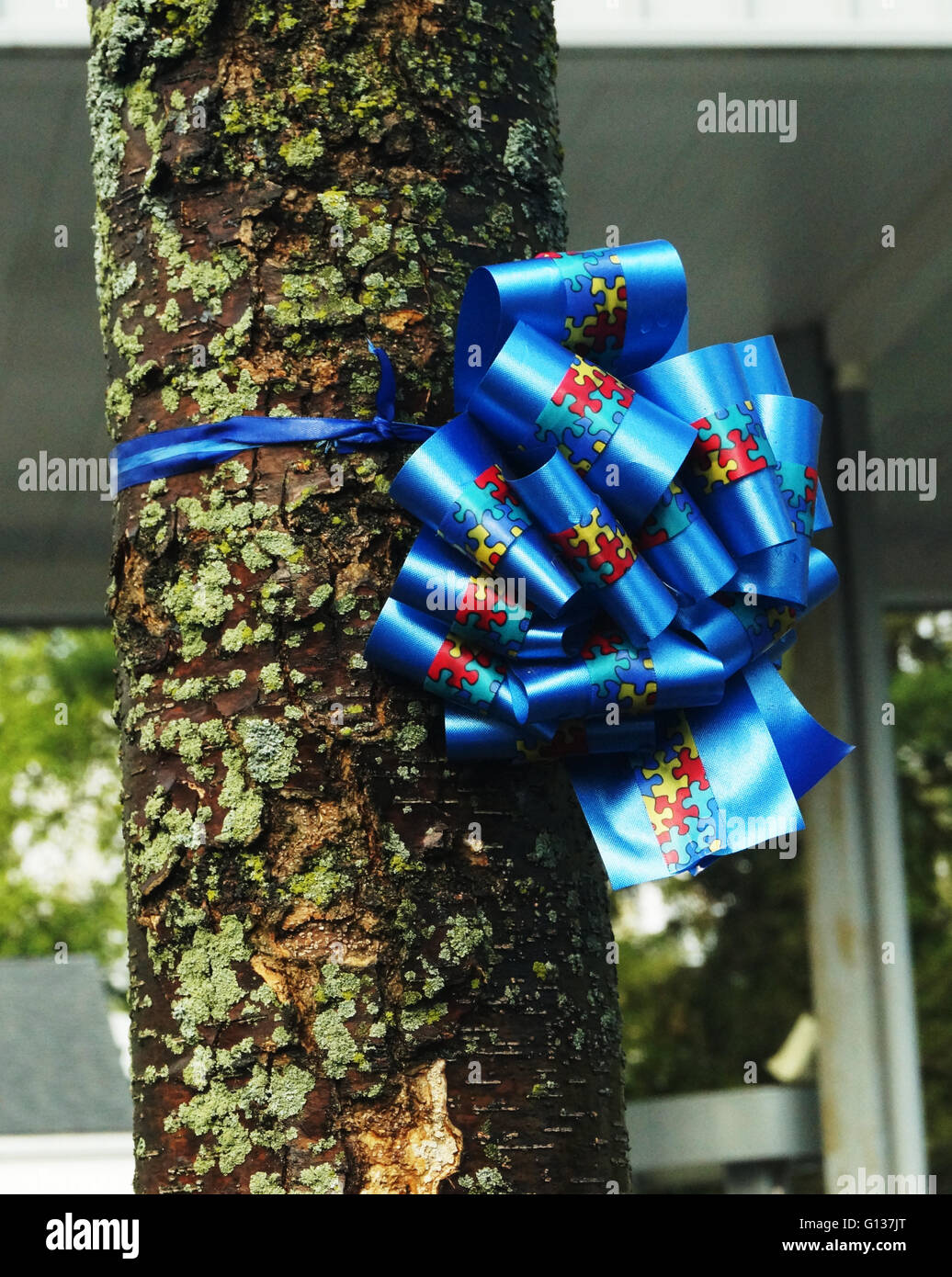 A tree with a blue ribbon tied around it Stock Photo - Alamy