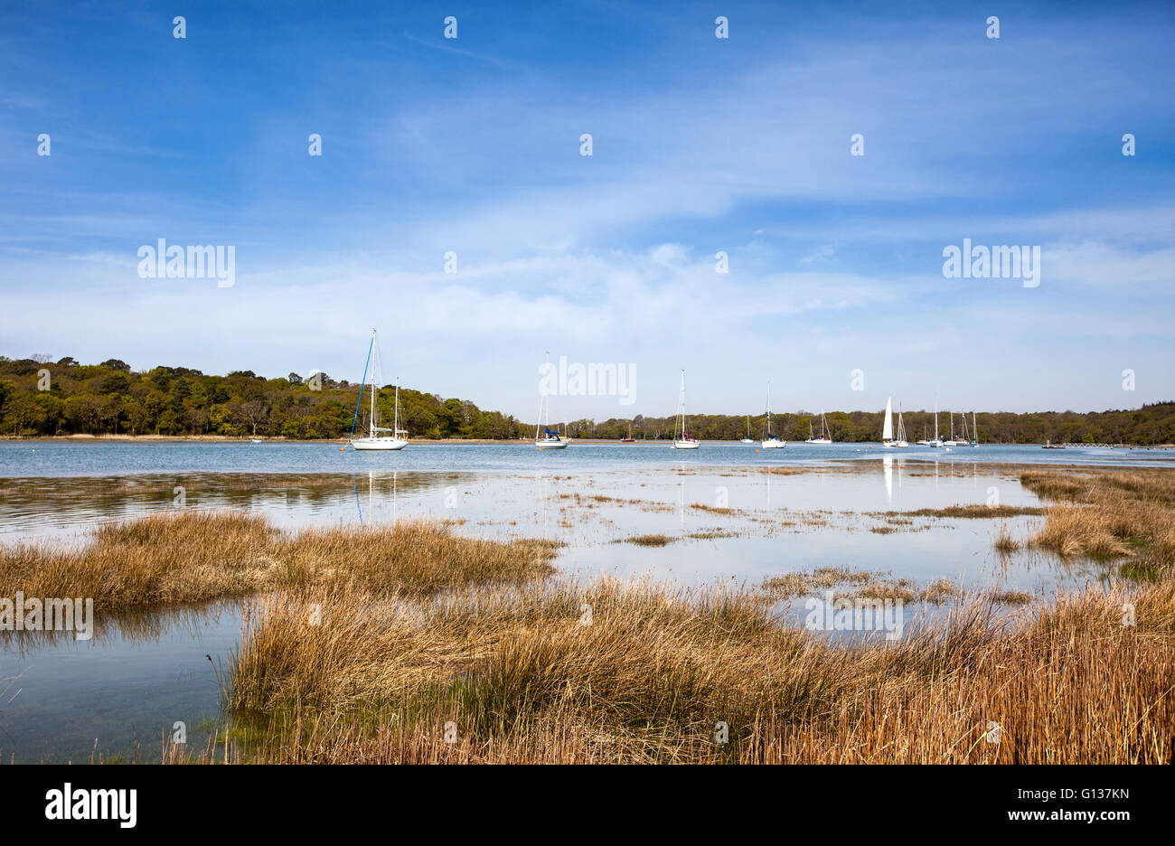 Beaulieu River in the New Forest Hampshire, UK pictured from Exbury ...