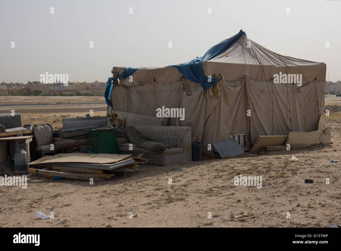 Bedouin tent hi-res stock photography and images - Alamy