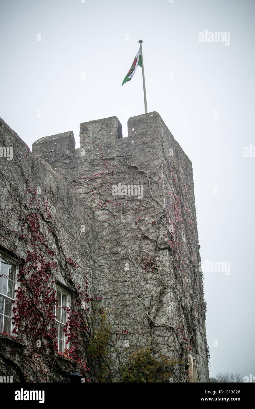 Vine covered Fonmon Castle tower with Welsh flag flying on a grey day ...