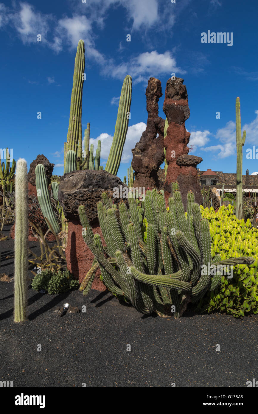 Lanzarote Cactus Garden. Designed by César Manrique Stock Photo - Alamy