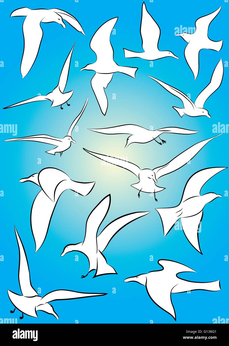 Flying seagull drawing hi-res stock photography and images - Alamy