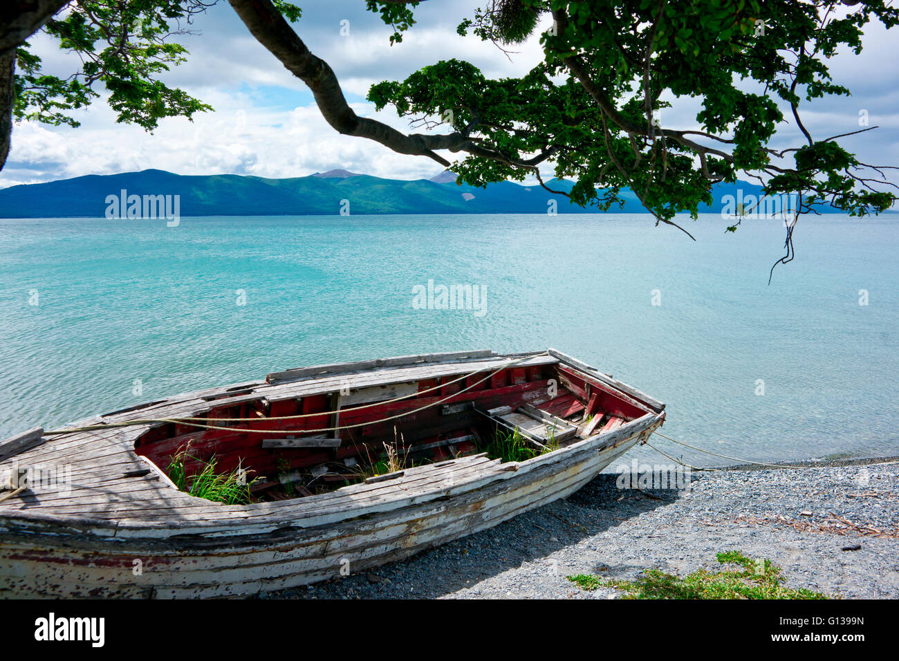 Boat tied to a tree hi-res stock photography and images - Alamy