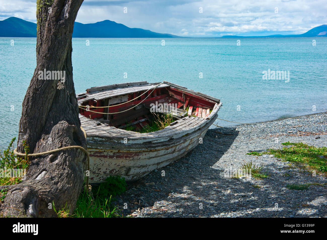 Boat tied to tree hi-res stock photography and images - Alamy