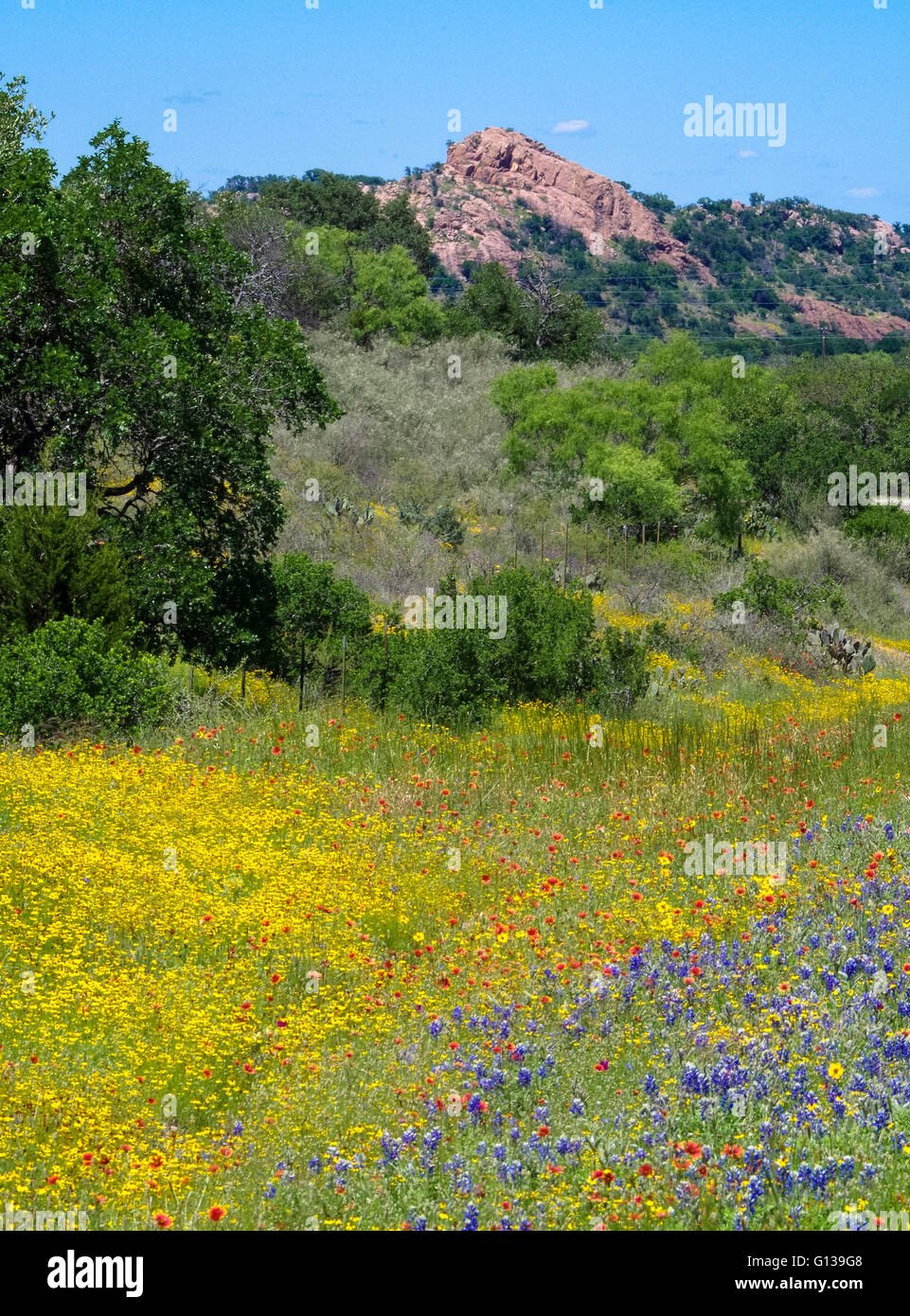 Texas Spring Wildflowers, Enchanted Rock Stock Photo - Alamy