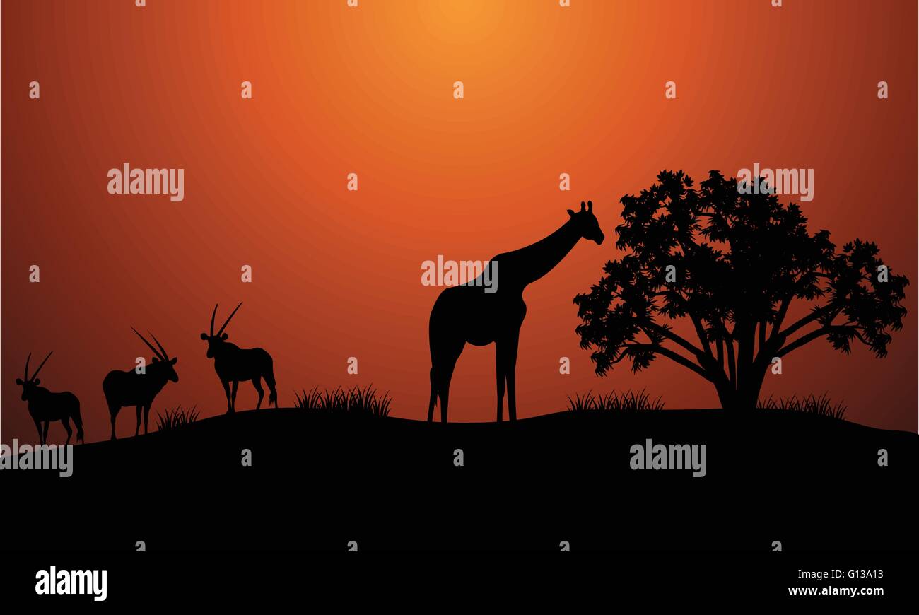 Giraffe with plants Stock Vector Images - Alamy