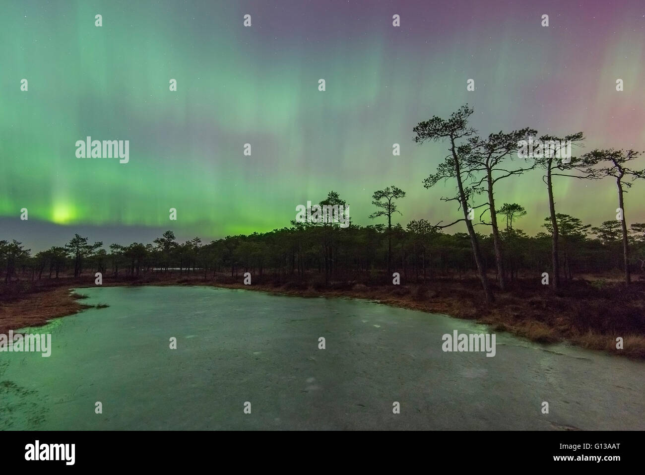 Northern lights over frozen pond hi-res stock photography and images ...