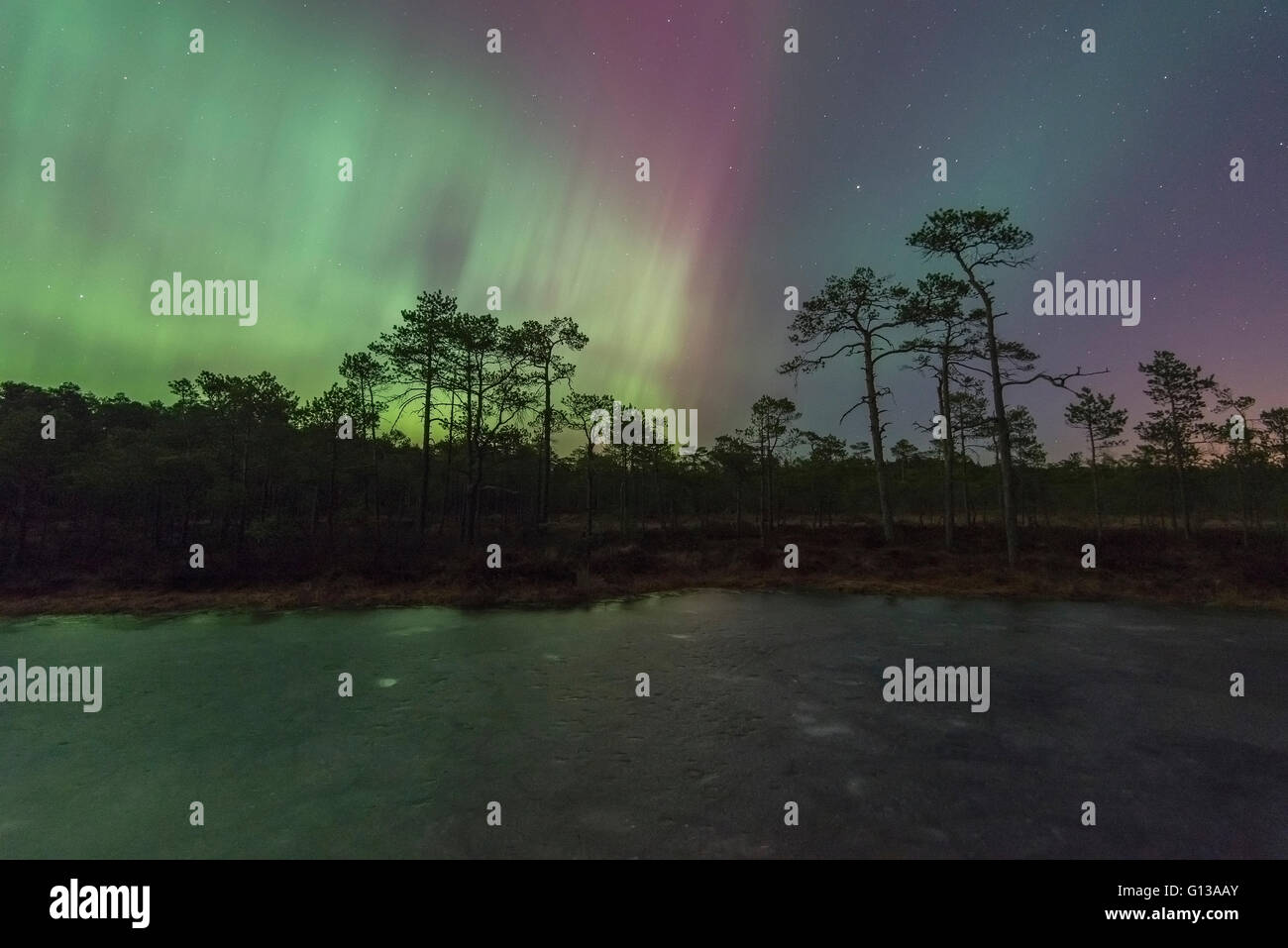 Northern lights at the bog Stock Photo - Alamy