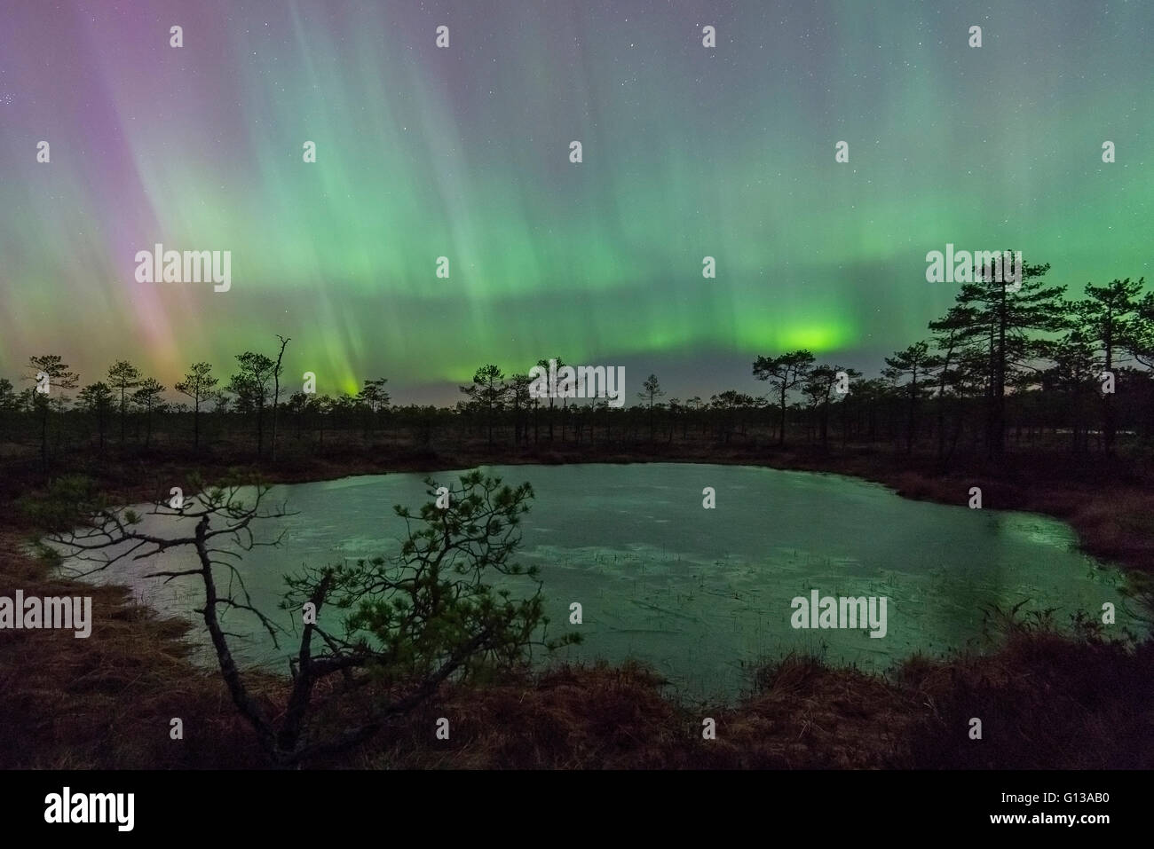 Northern lights at the bog Stock Photo - Alamy