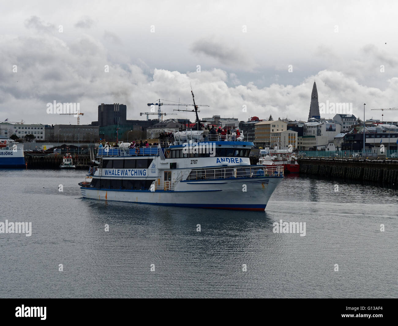 Whale Watching Boats, Reykjavik, Iceland Stock Photo - Alamy