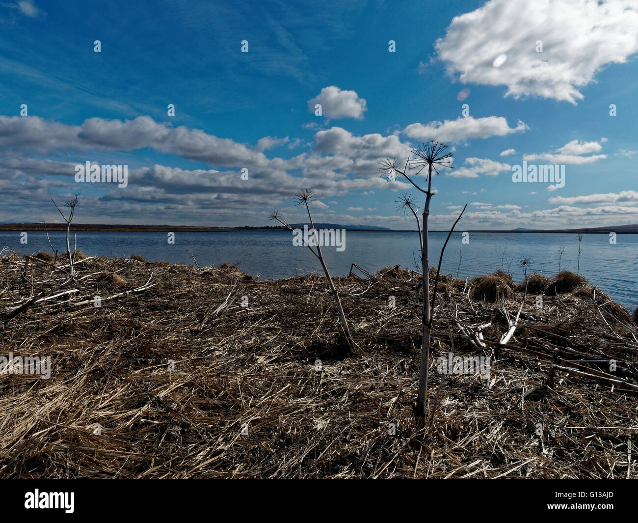 Fontana natural spring spa, Iceland Stock Photo - Alamy